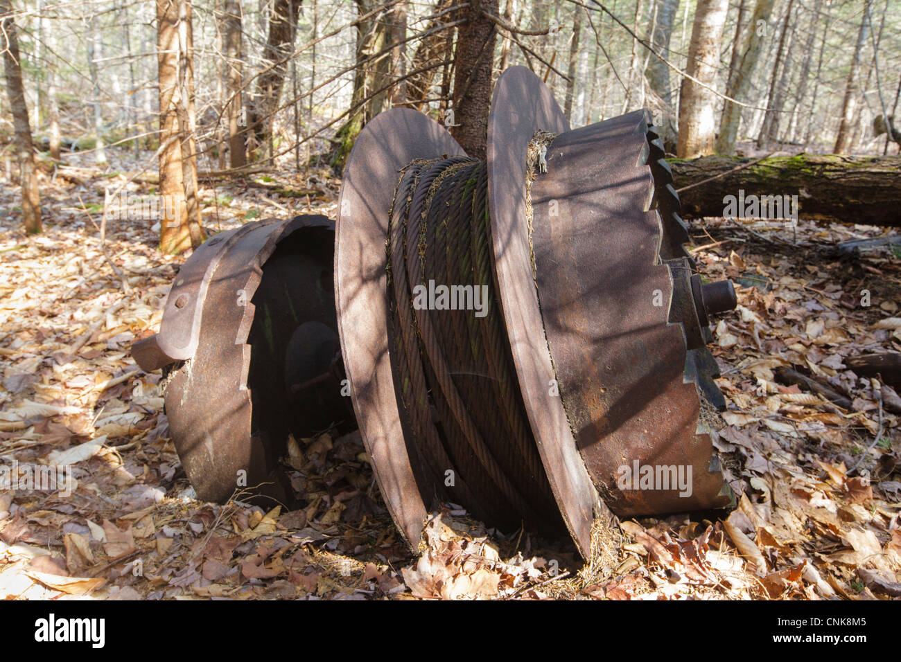 19th century logging hi-res stock photography and images - Alamy
