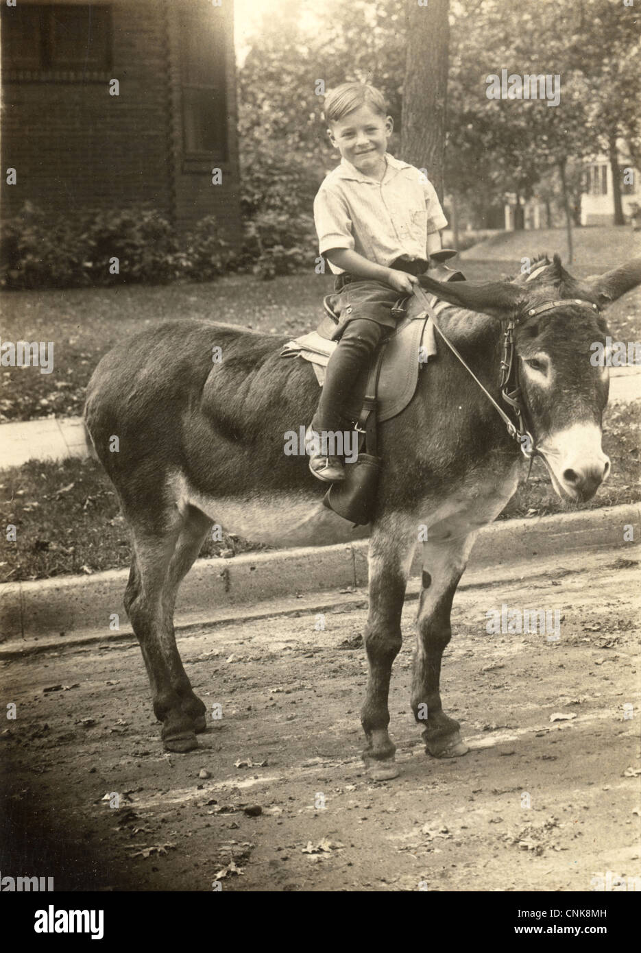Little Boy Riding a Donkey in Street Stock Photo - Alamy