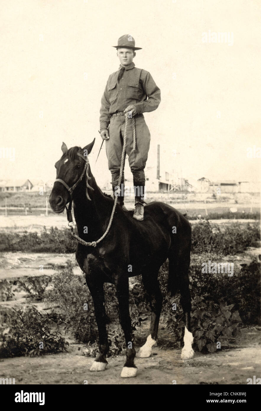 Soldier on horse hi-res stock photography and images - Alamy Soldier on horse hi-res stock photography and images - Alamy