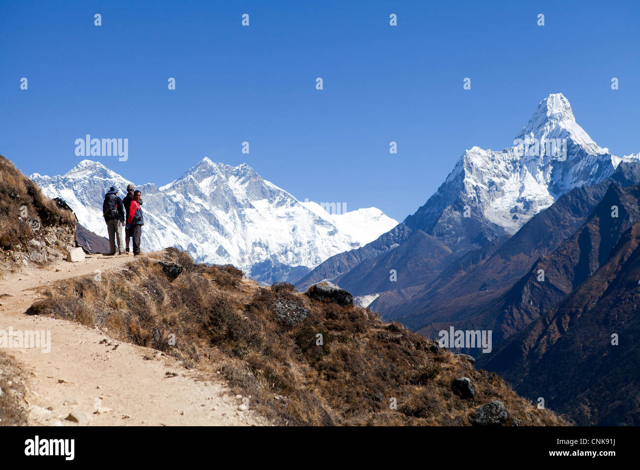 Trekkers on the trail to the Everest View Hotel, with Mt Everest and ...