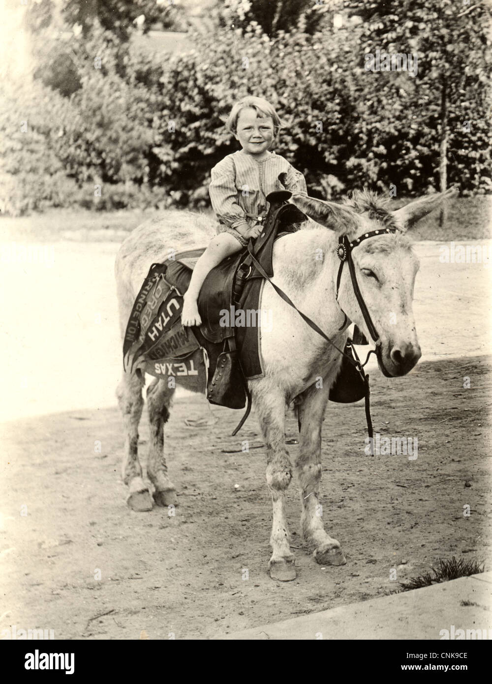 Little Boy Riding a Donkey Decorated with Pennants Stock Photo - Alamy