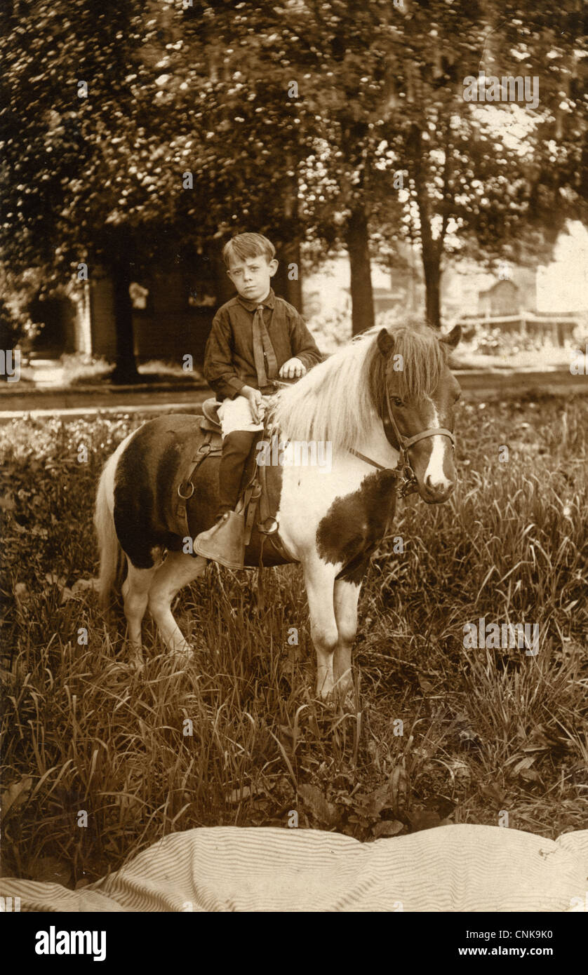 Weed choked lawn hi-res stock photography and images - Alamy