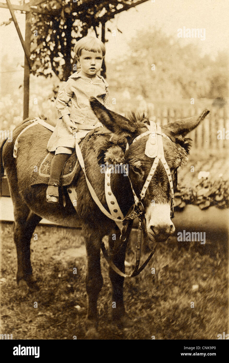 Blonde Little Boy in Checkered Outfit Riding a Donkey Stock Photo - Alamy