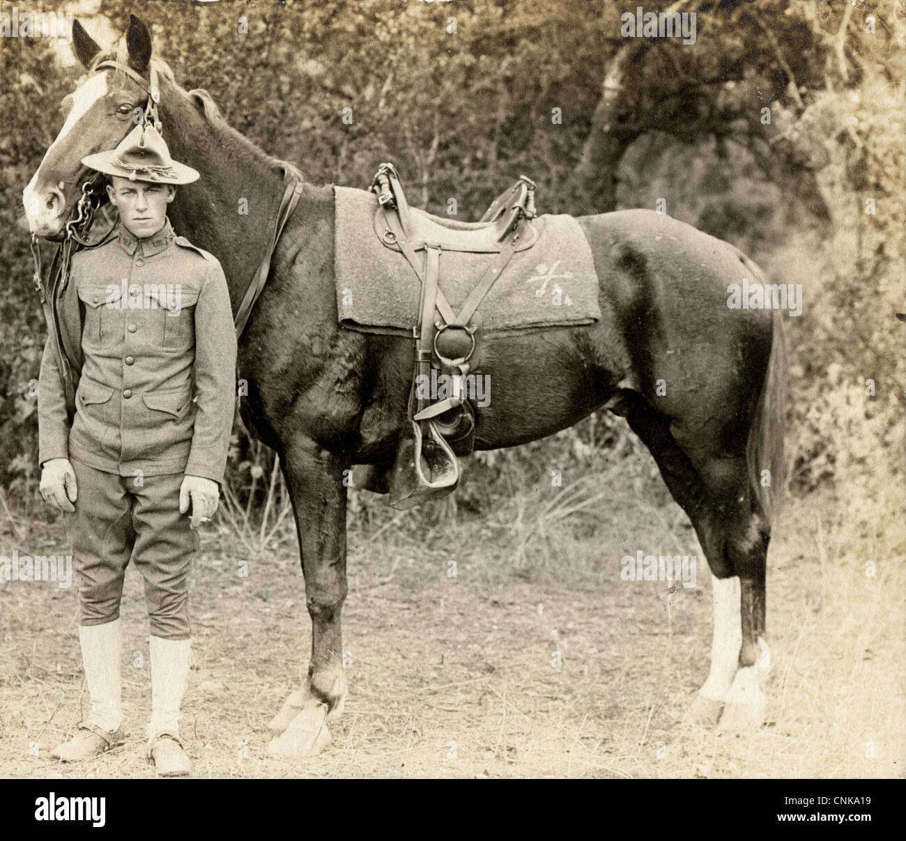 Soldier and horse hi-res stock photography and images - Alamy