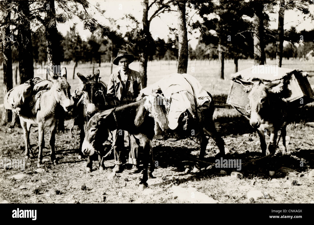 African american man with horse hi-res stock photography and images - Alamy