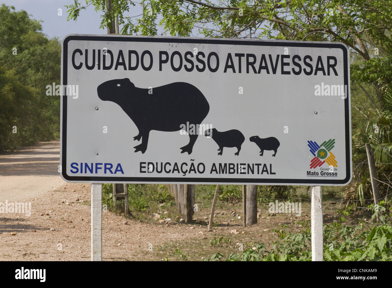 Capybara (Hydrochaerus hydrochaeris) crossing road warning sign ...