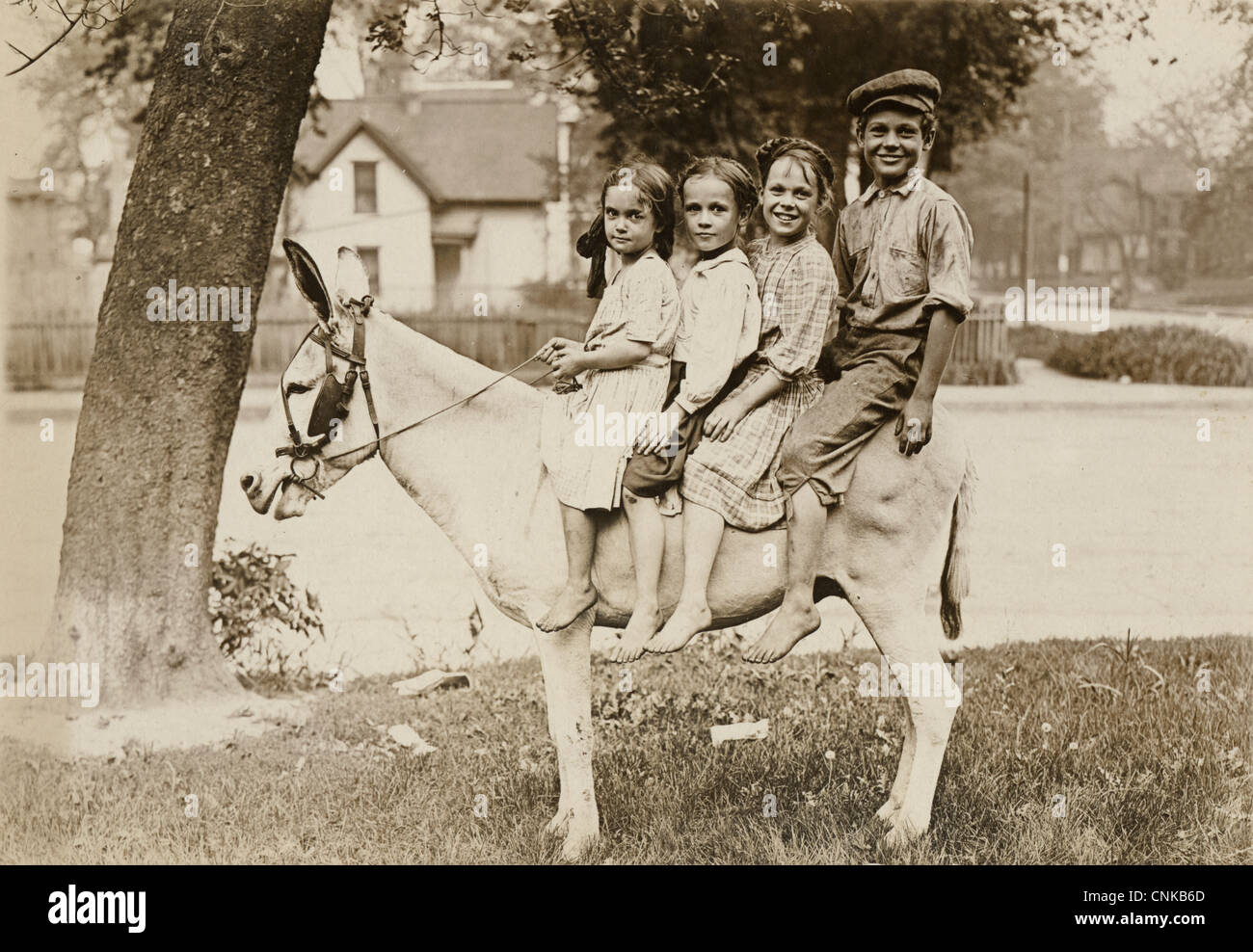 Four Children Riding a Donkey Stock Photo - Alamy