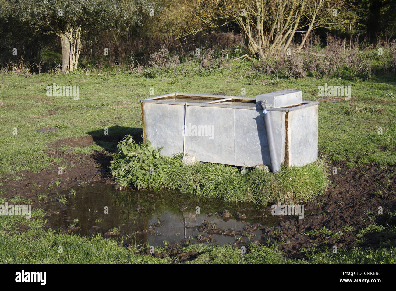 Unimproved pastures hi-res stock photography and images - Alamy