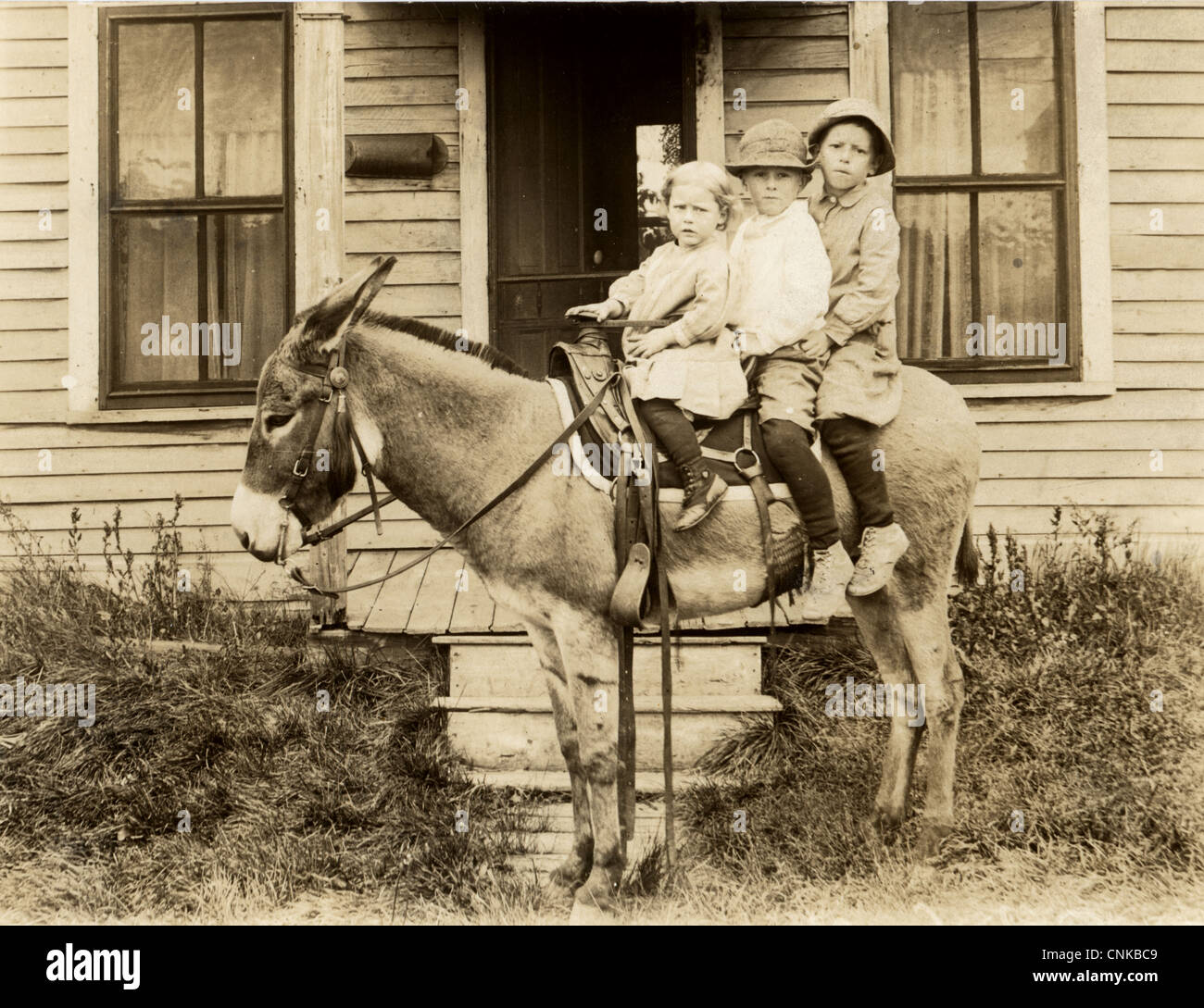 Three Young Siblings Riding a Donkey Stock Photo - Alamy