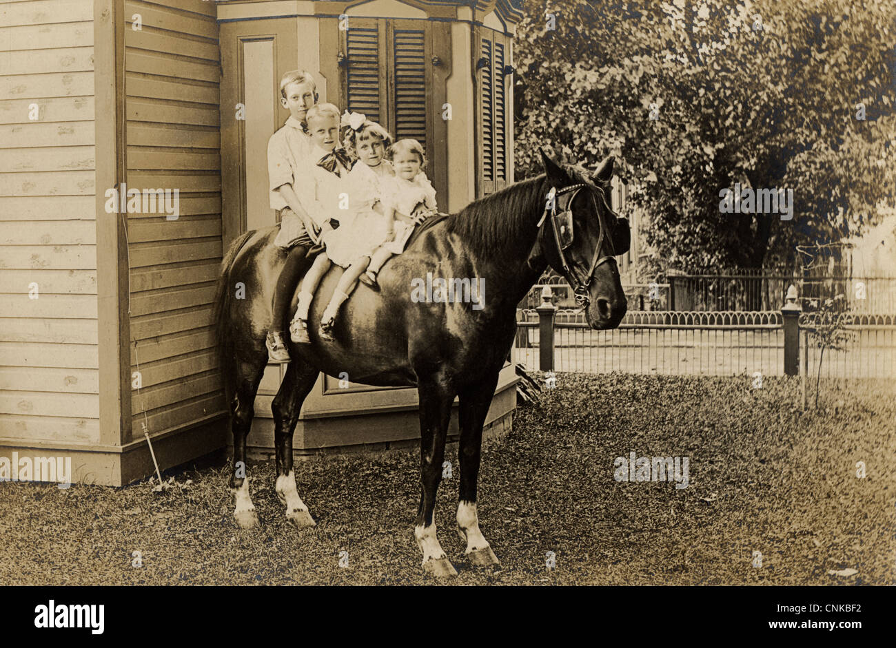 Four Children Riding a Horse at Home Stock Photo - Alamy