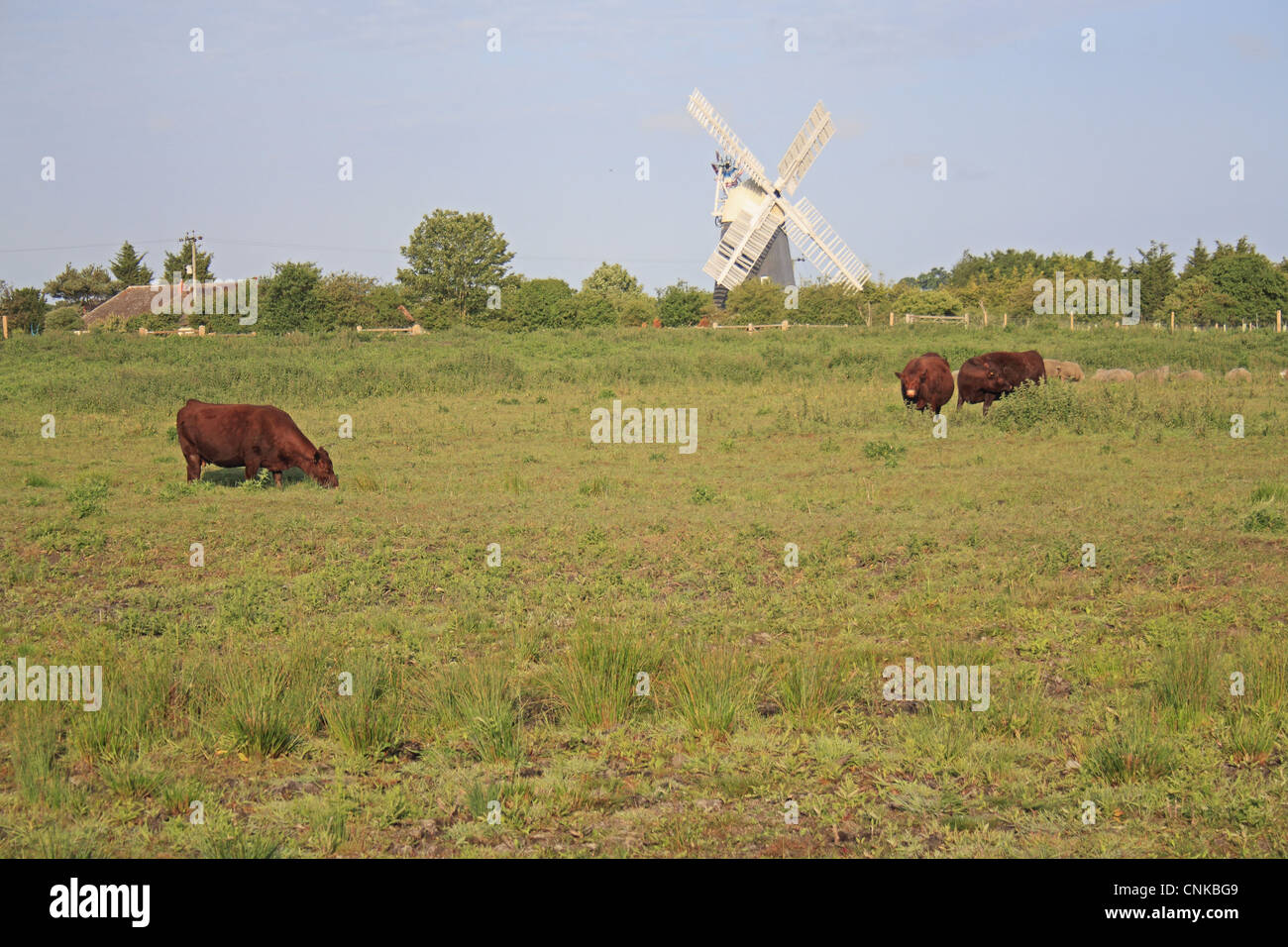 Inland feeding habitats hi-res stock photography and images - Alamy