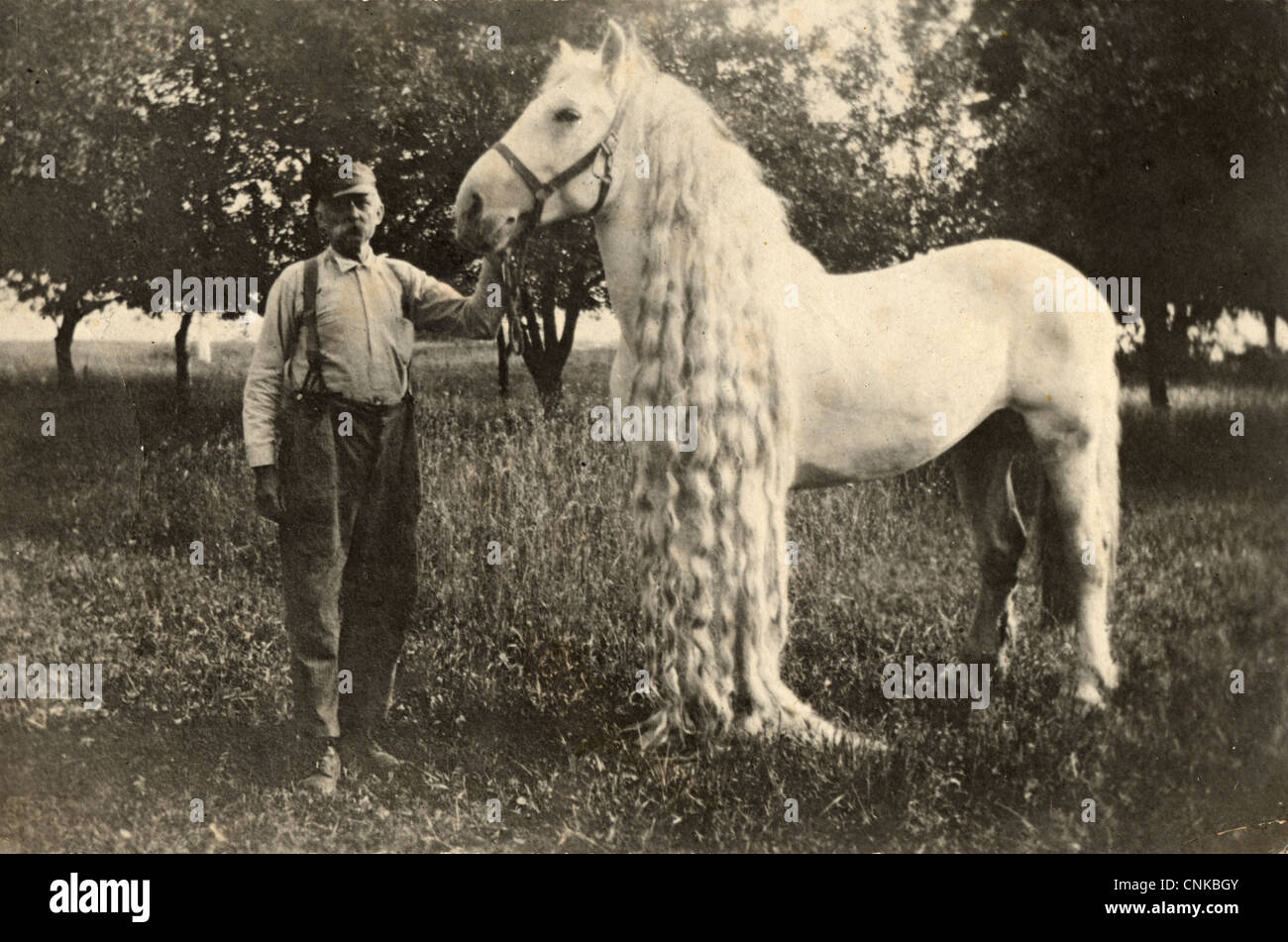 Old Man & Horse with World's Longest Mane Stock Photo - Alamy
