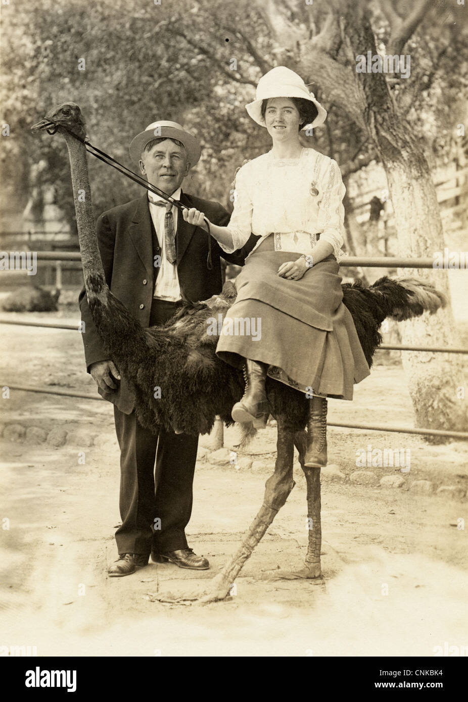 Father with Daughter Riding an Ostrich Stock Photo - Alamy