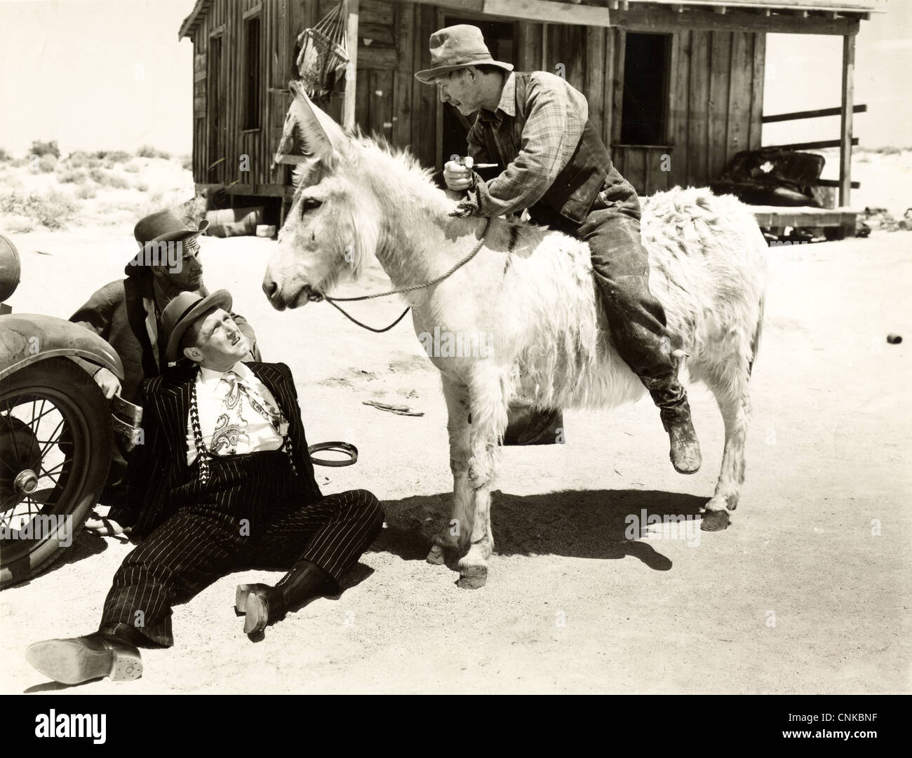 City slickers lost in west hi-res stock photography and images - Alamy