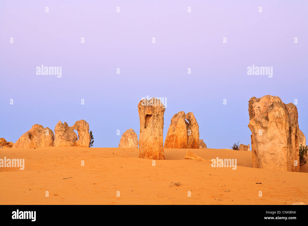 The Pinnacles, an area of eroded limestone formations in Nambung ...