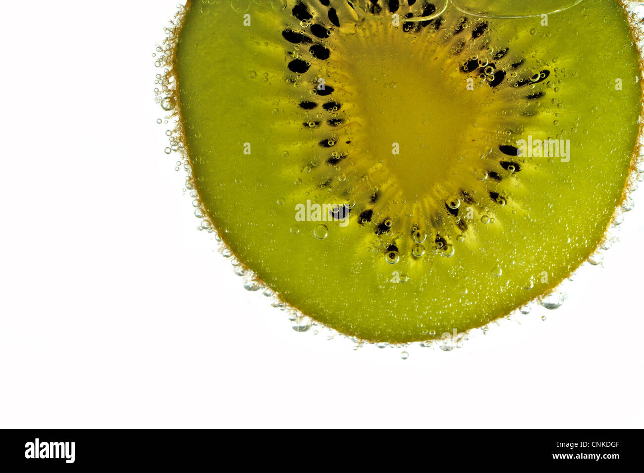 A fresh kiwi slice floats in carbonated water, back lit on white Stock ...