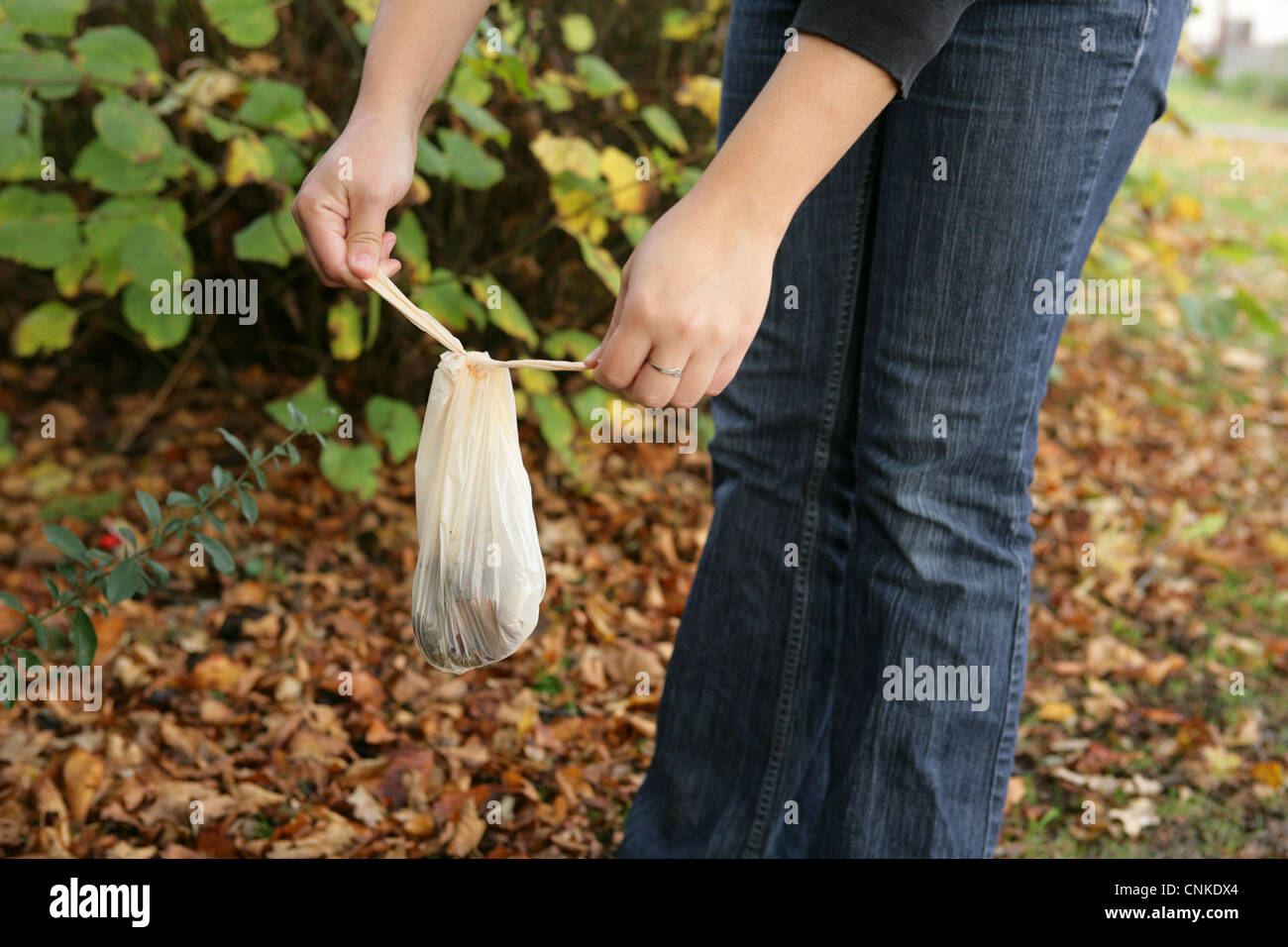 Dogs muck bag hi-res stock photography and images - Alamy
