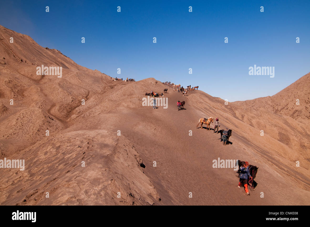 Track to Mount Bromo Stock Photo - Alamy
