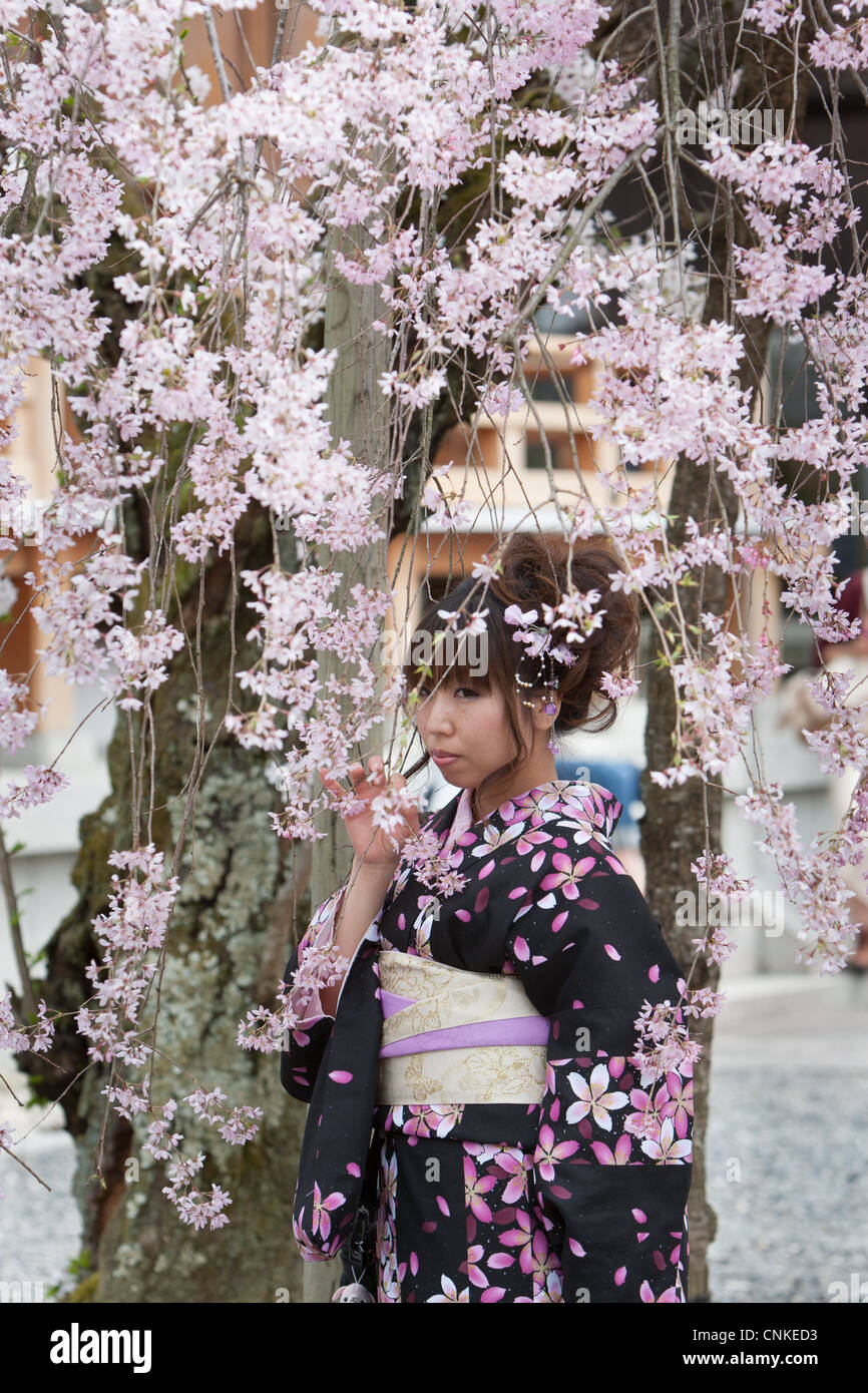 Japan cherry blossom kimono hi-res stock photography and images - Alamy