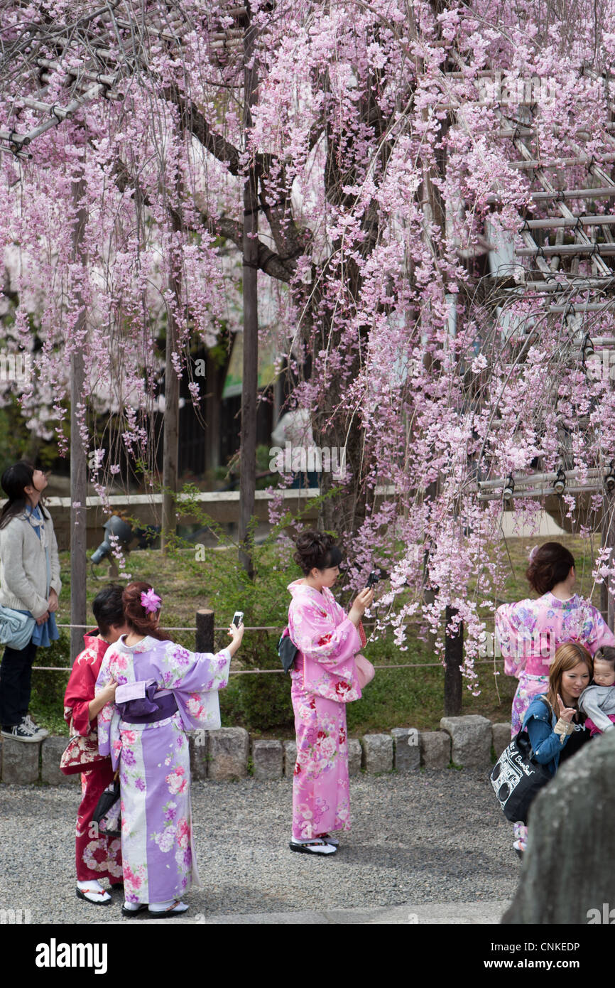 Japanese kimono kimonos fashion fashions hi-res stock photography and ...