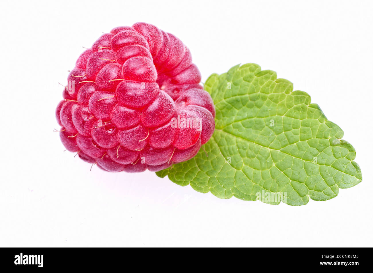 Raspberries with great colors in white background Stock Photo - Alamy