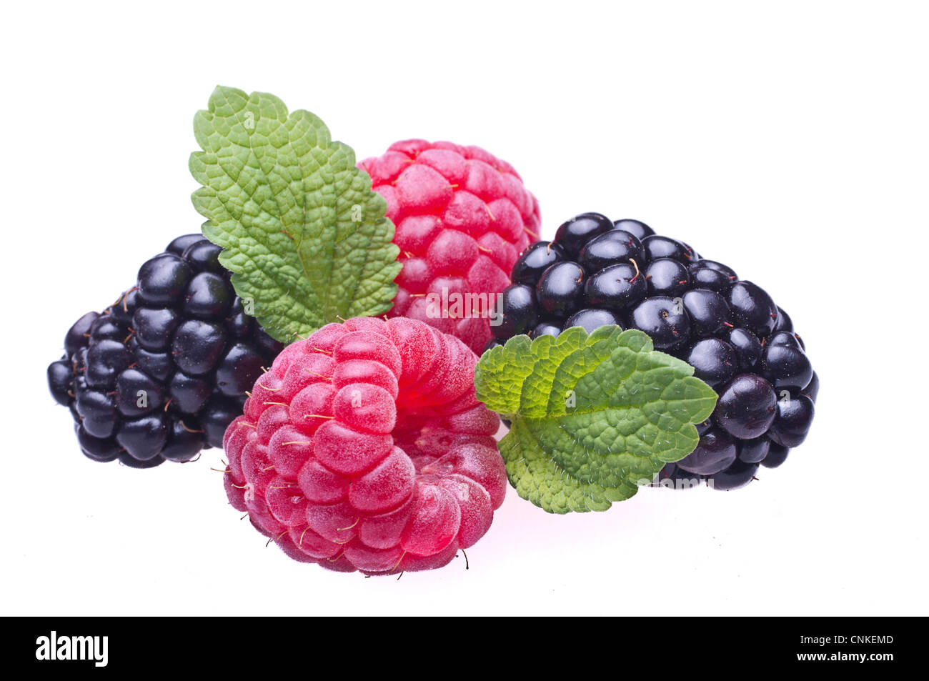 Raspberries and blackberries with great colors in white background ...