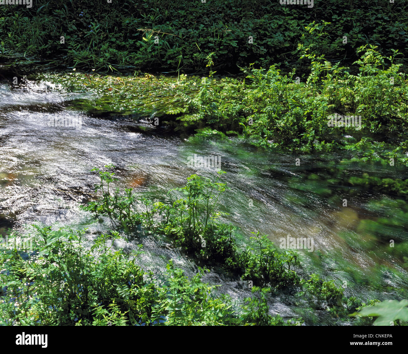 Bachlandschaft in Plaue, Geratal, Vorland des Thueringer Waldes ...