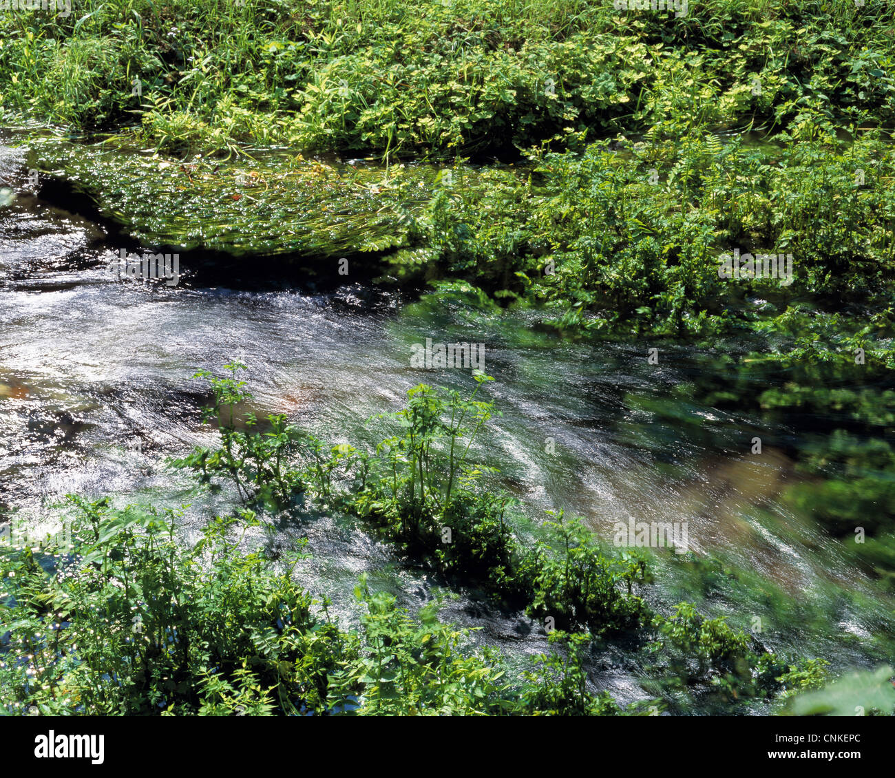 Bachlandschaft in Plaue, Geratal, Vorland des Thueringer Waldes ...
