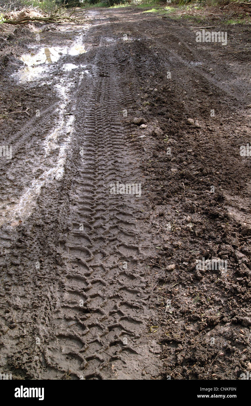 Tyre tracks in muddy country lane caused by off-road vehicles Stock ...