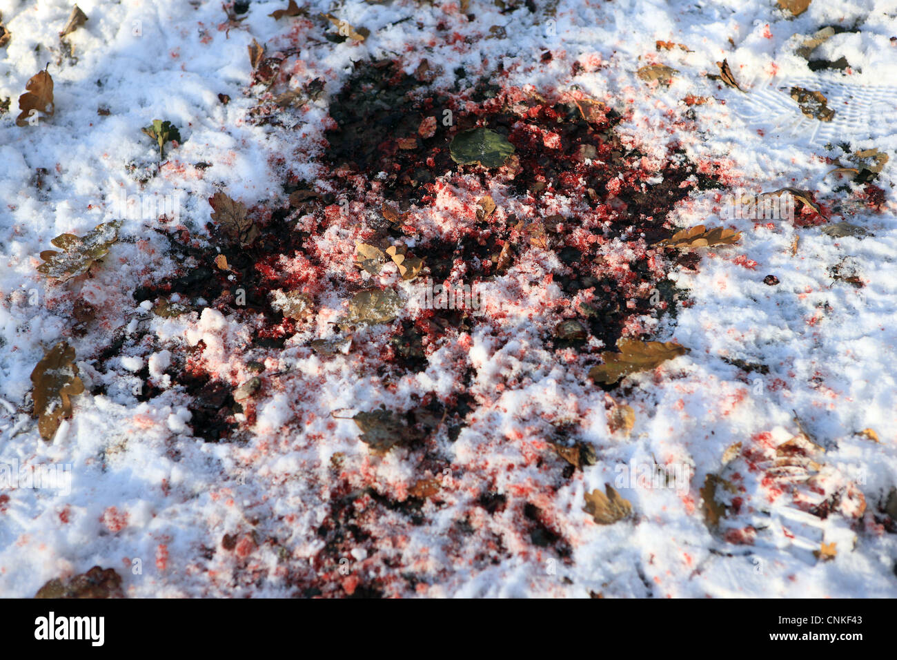 Blood Stain Stock Photos & Blood Stain Stock Images - Alamy