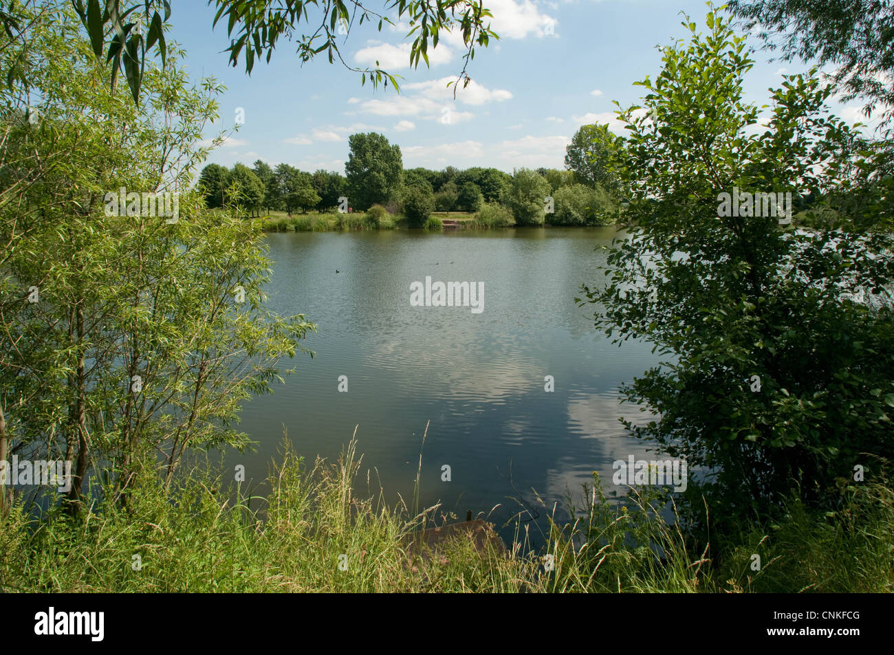 Bolton Brick Ponds near Goldthorpe, South Yorkshire Stock Photo - Alamy