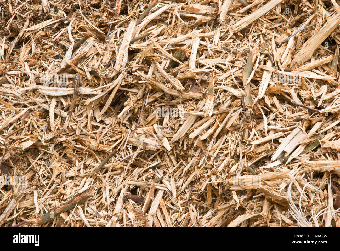 Chipping down hi-res stock photography and images - Alamy