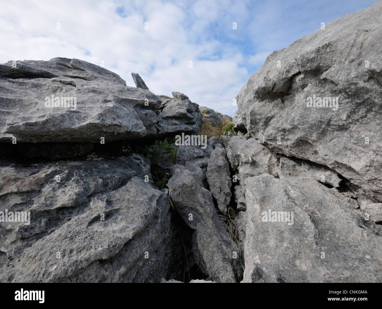 Gryke grykes hi-res stock photography and images - Alamy