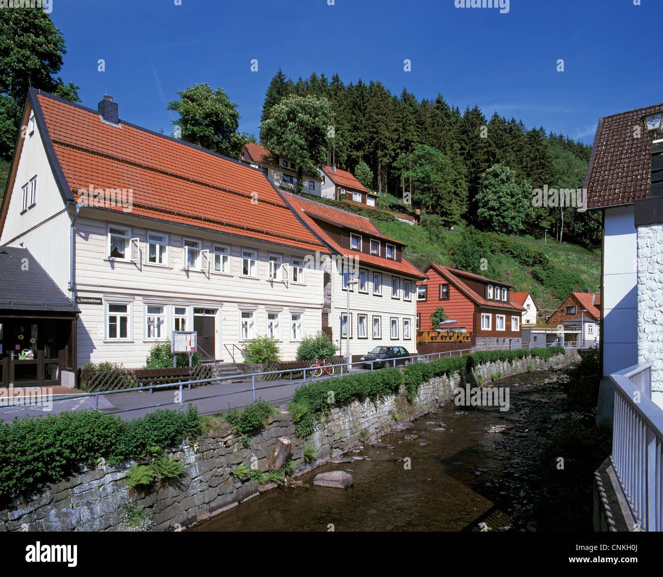 Flusstal der Innerste in Wildemann im Harz, Niedersachsen ...