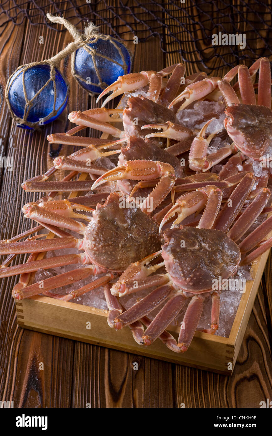 Hokkaido Crab High Resolution Stock Photography and Images - Alamy