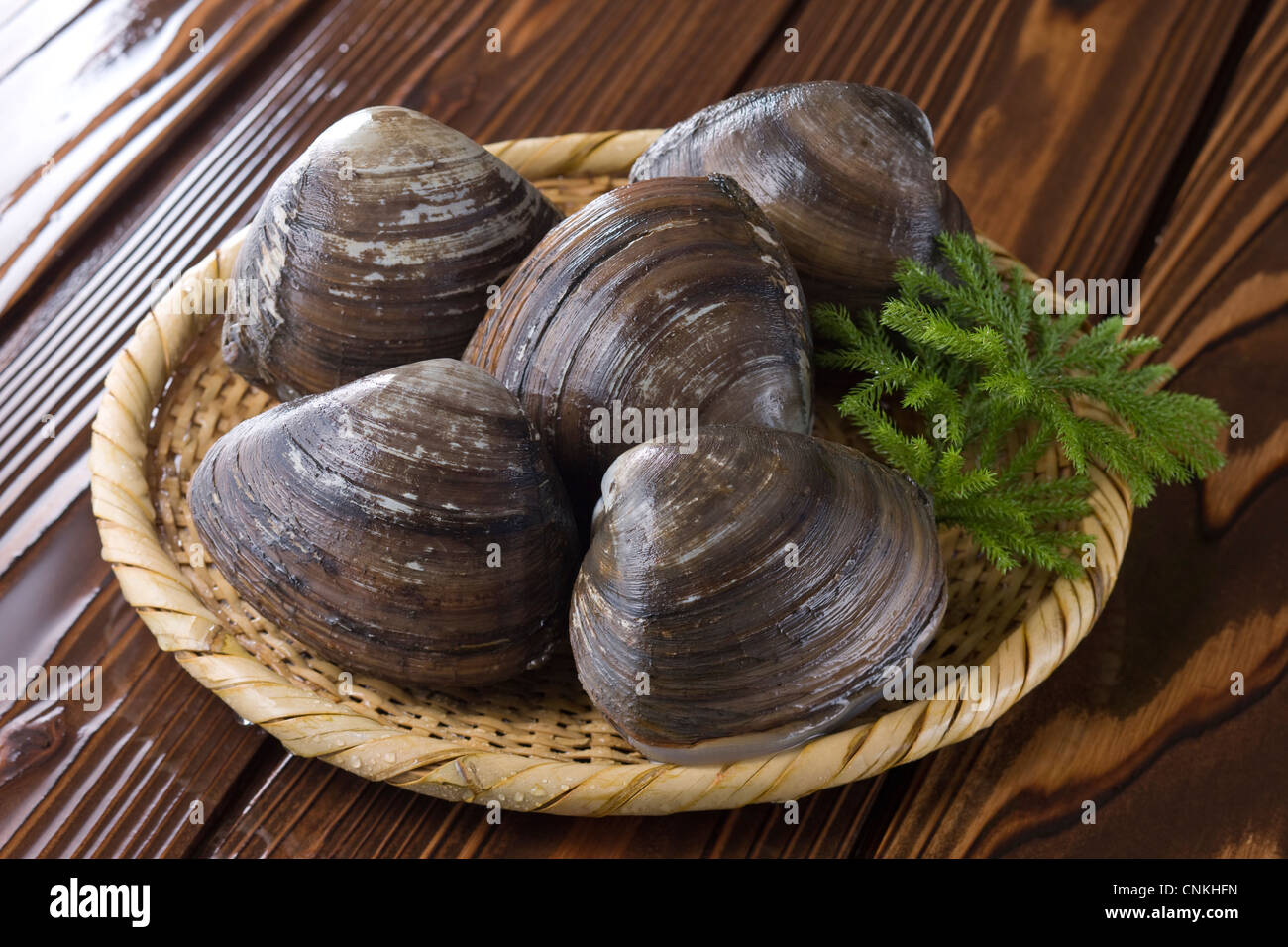 Hen clam hi-res stock photography and images - Alamy