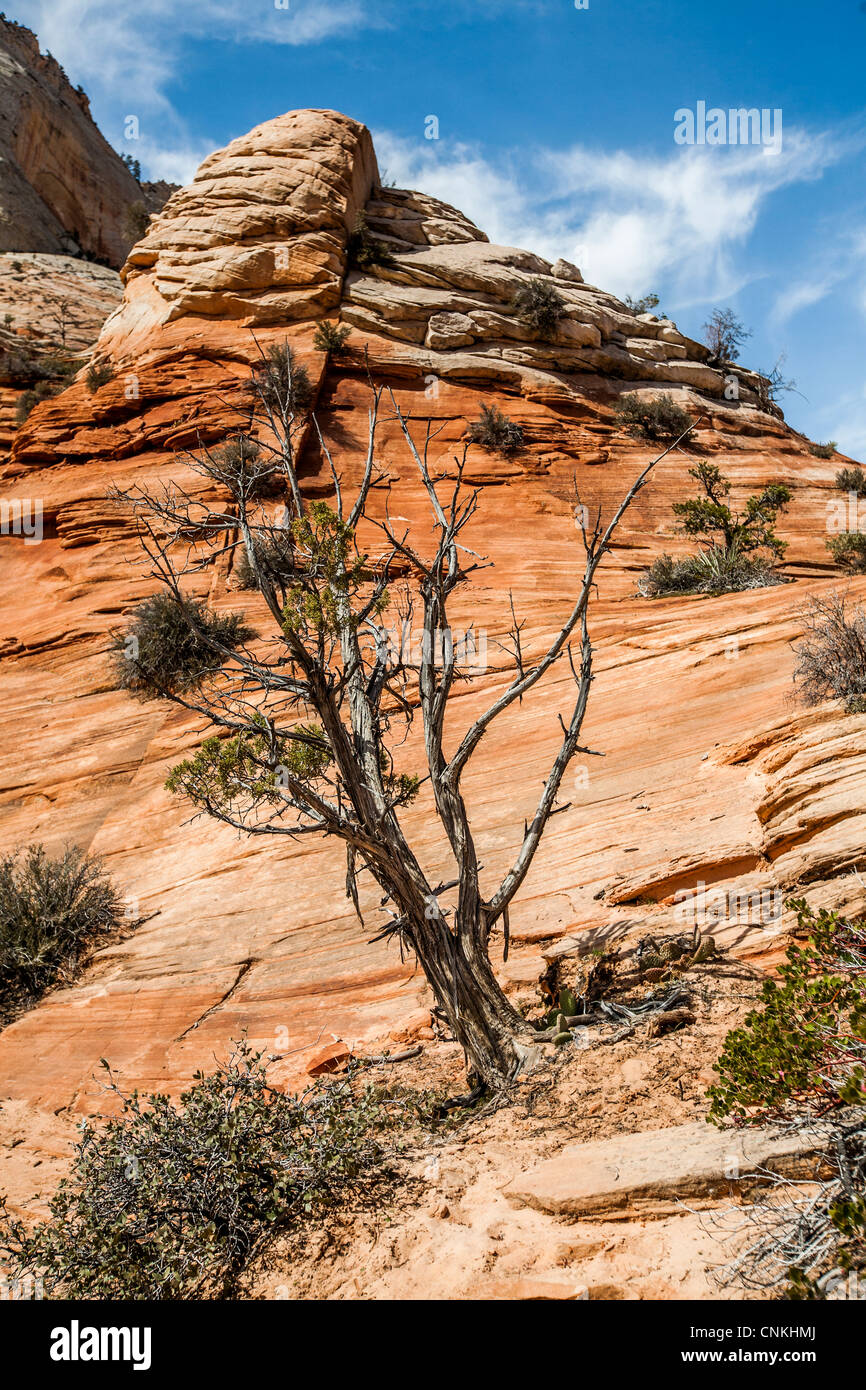 red rock formations: a set of sandstone peaks and walls called the ...