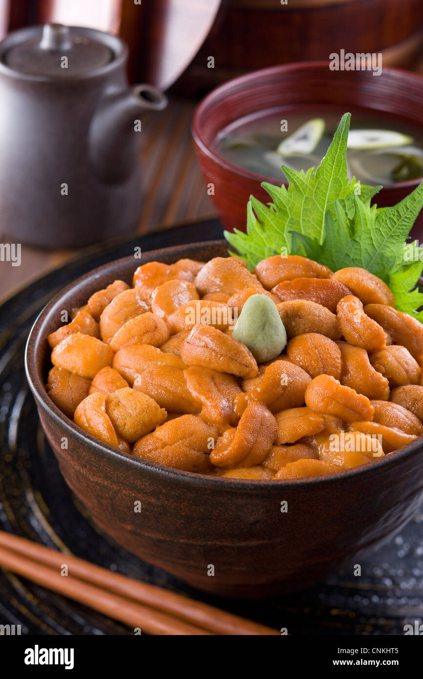 Uni don hi-res stock photography and images - Alamy