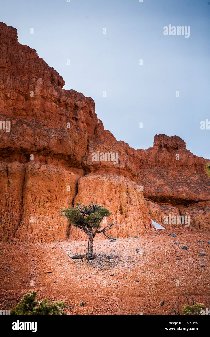 red rock formations: a set of sandstone peaks and walls called the ...