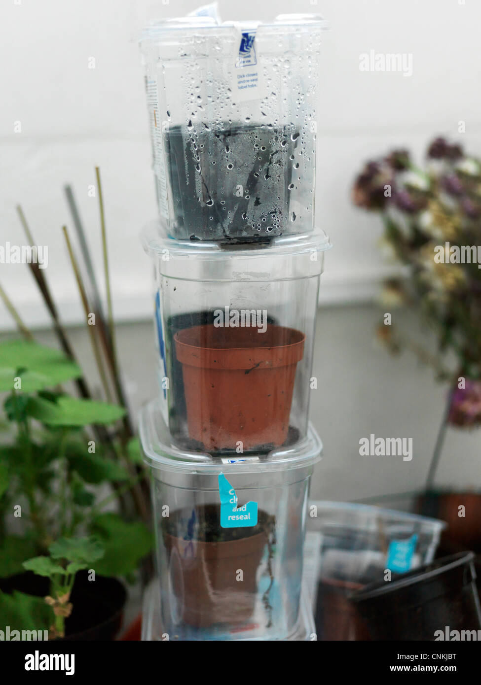 Mini Propergators Recycling Reusing Containers from Washing Machine ...