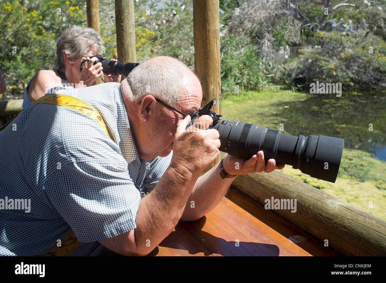 Hide from photographers hi-res stock photography and images - Alamy