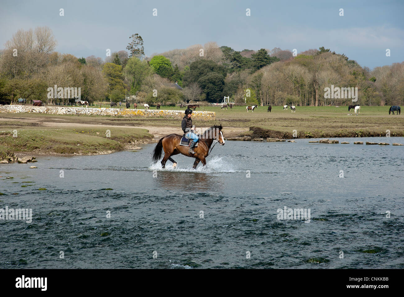 Horseback rider crossing hi-res stock photography and images - Alamy