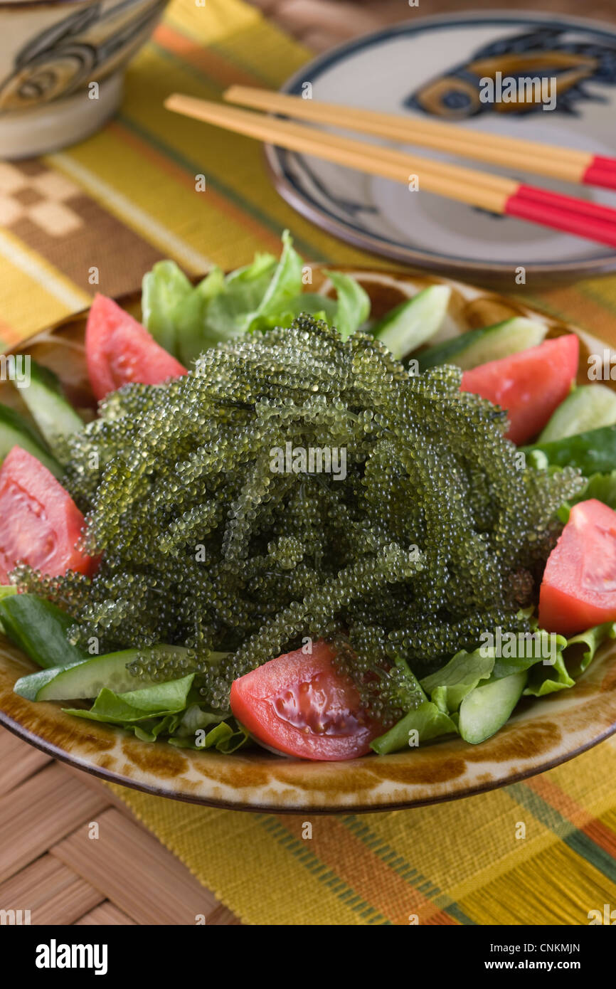 Caulerpa lentillifera hi-res stock photography and images - Alamy