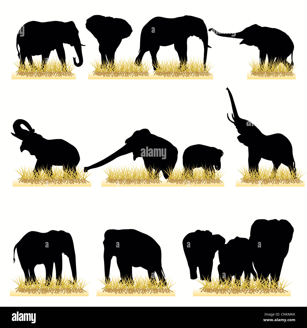Elephants silhouettes set Stock Photo - Alamy