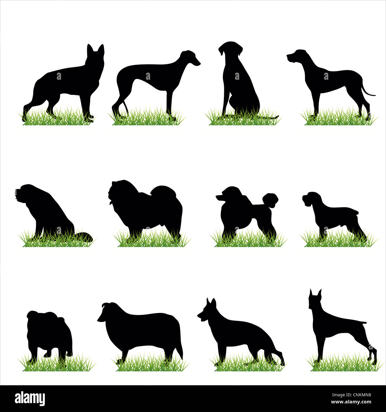 Dogs Silhouettes Set Stock Photo - Alamy