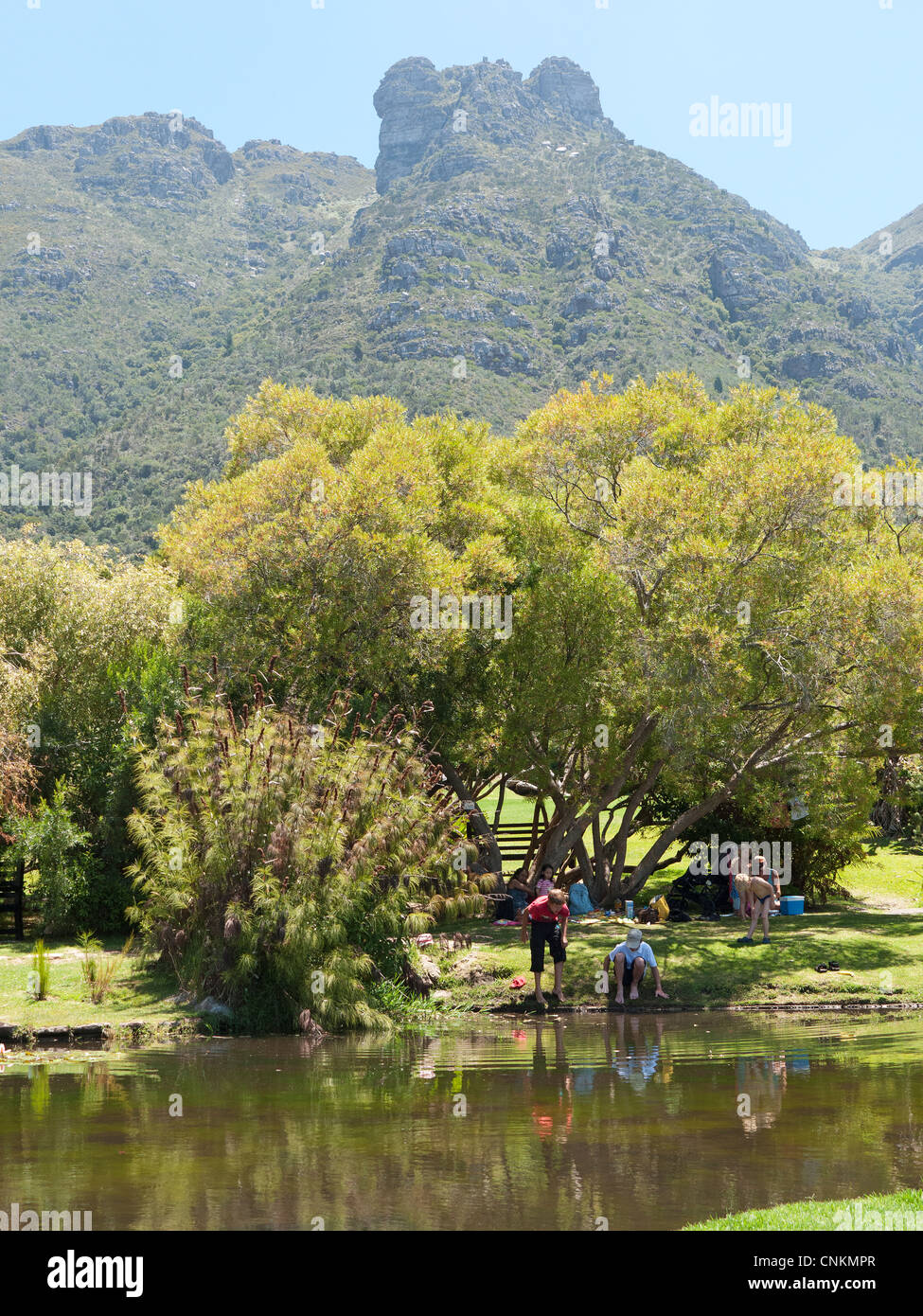Kirstenbosch National Botanical Garden Cape Town South Africa Stock ... Kirstenbosch National Botanical Garden Cape Town South Africa Stock ...