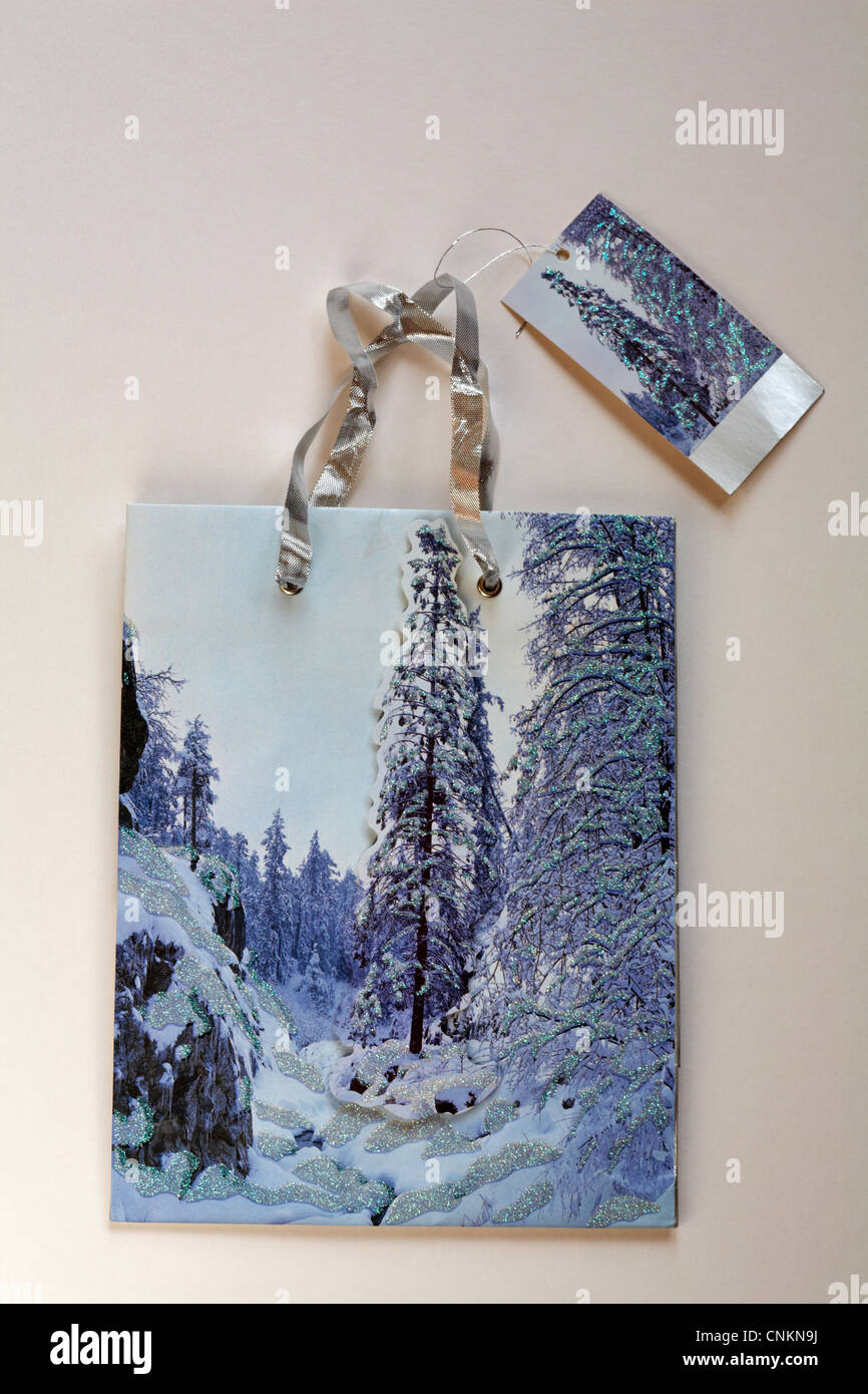 Christmas gift bag and matching gift tag with glittery trees in snow ...