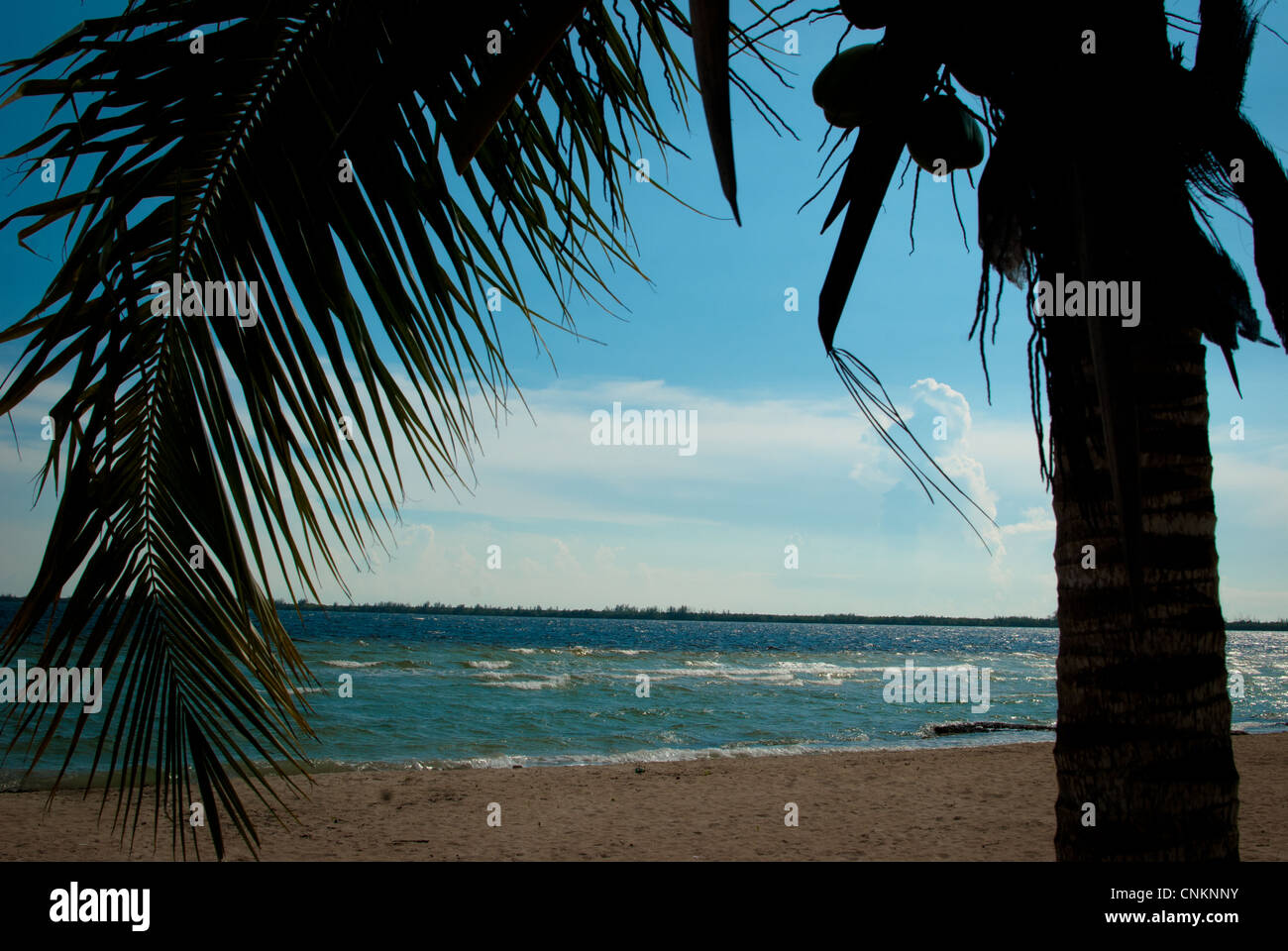 Playa larga cuba hi-res stock photography and images - Alamy