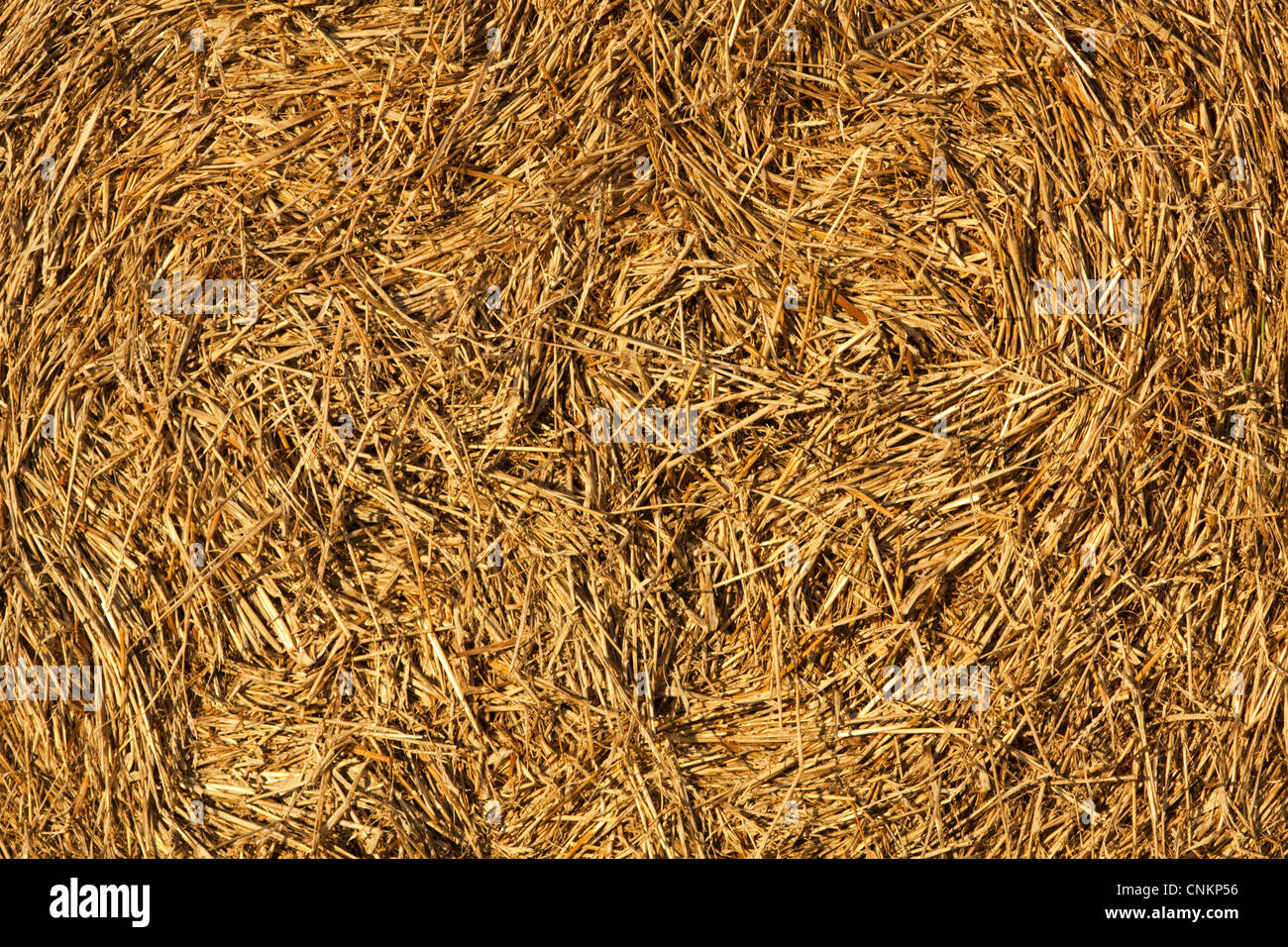 English hay bale hi-res stock photography and images - Alamy