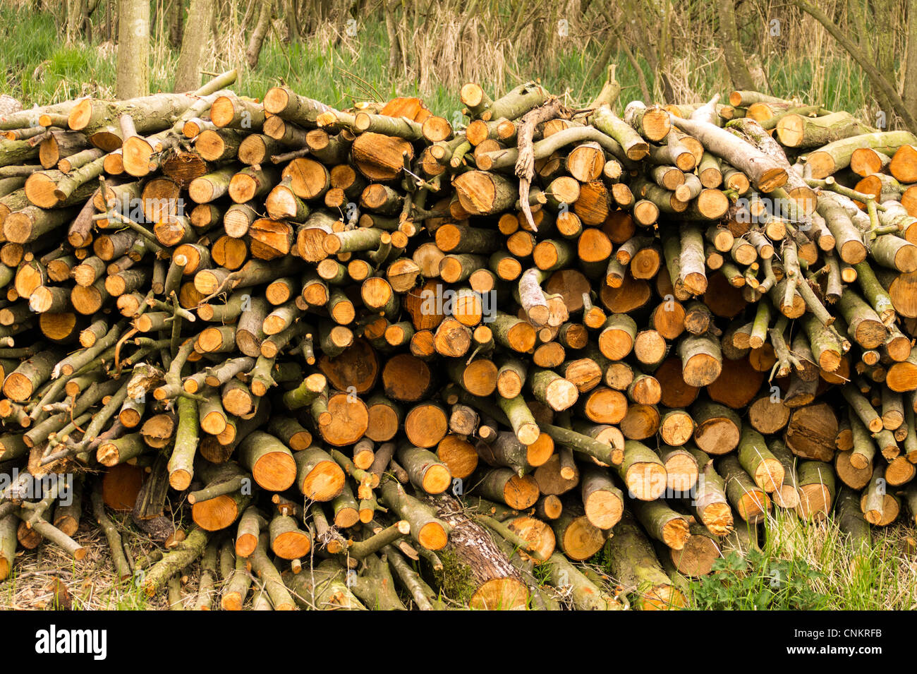 Timber collection hi-res stock photography and images - Alamy